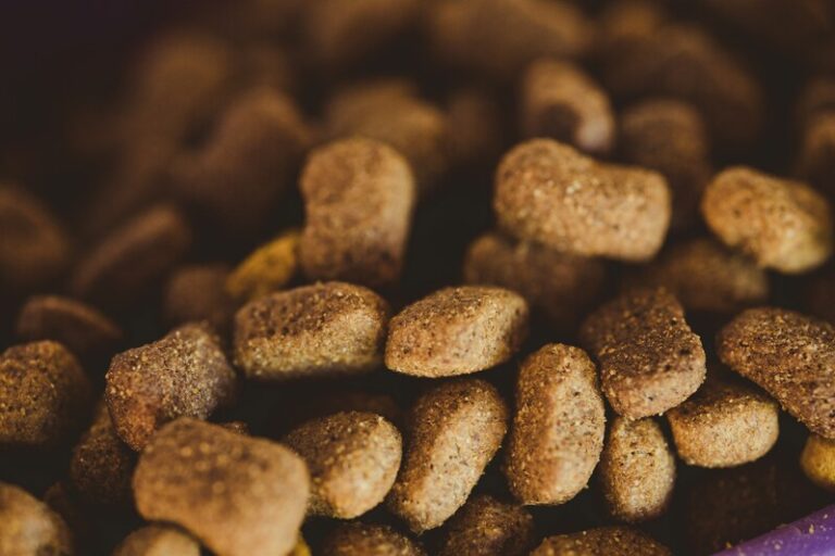 How to Soften Brown Sugar: 7 Fast Fixes and Overnight Methods